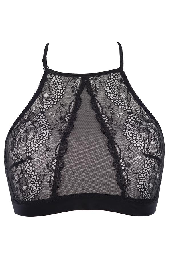AXAMI V-7690 Fondant au chocolat Lace Bra Top – Elegant Up